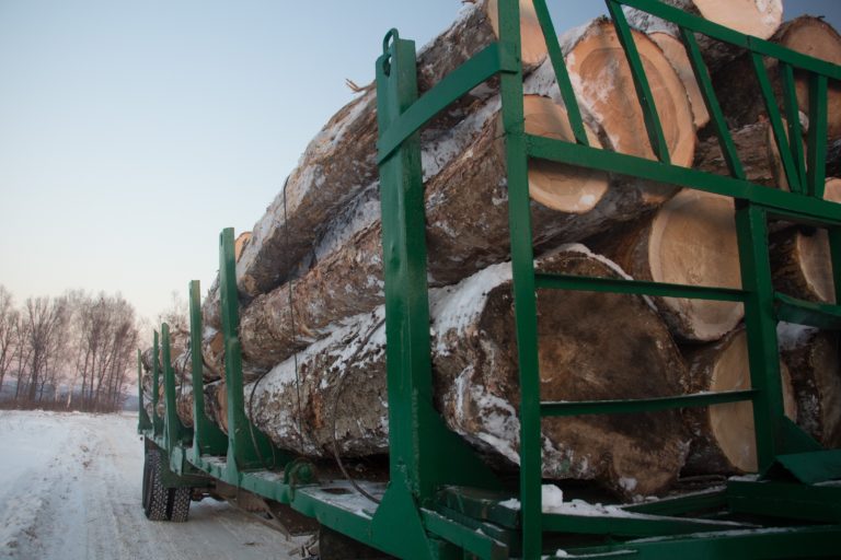 Illegal Logging, Environmental Crime, and Human Trafficking | RESPECT